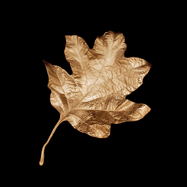 Hydrangea Leaf Dish – The Golden Crane