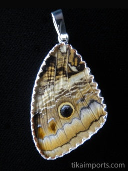 Large Speckled Numberwing Butterfly Shimmerwing Pendant – The Golden Crane